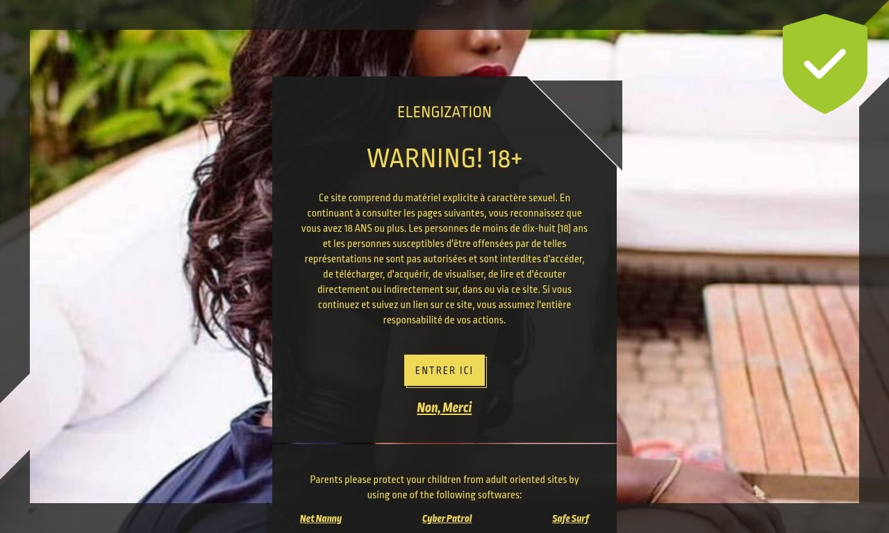 Avis Elengization.com | Indice de confiance bon : 86 %